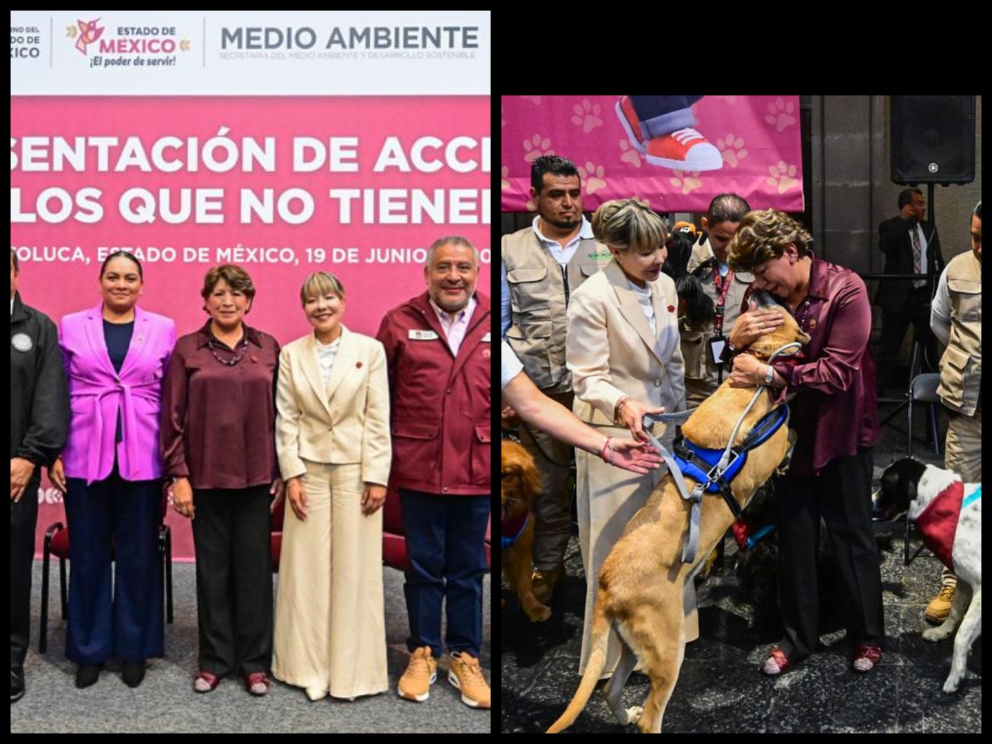 Delfina Gómez da voz a los seres sintientes con nueva ley animal – Aquí ...